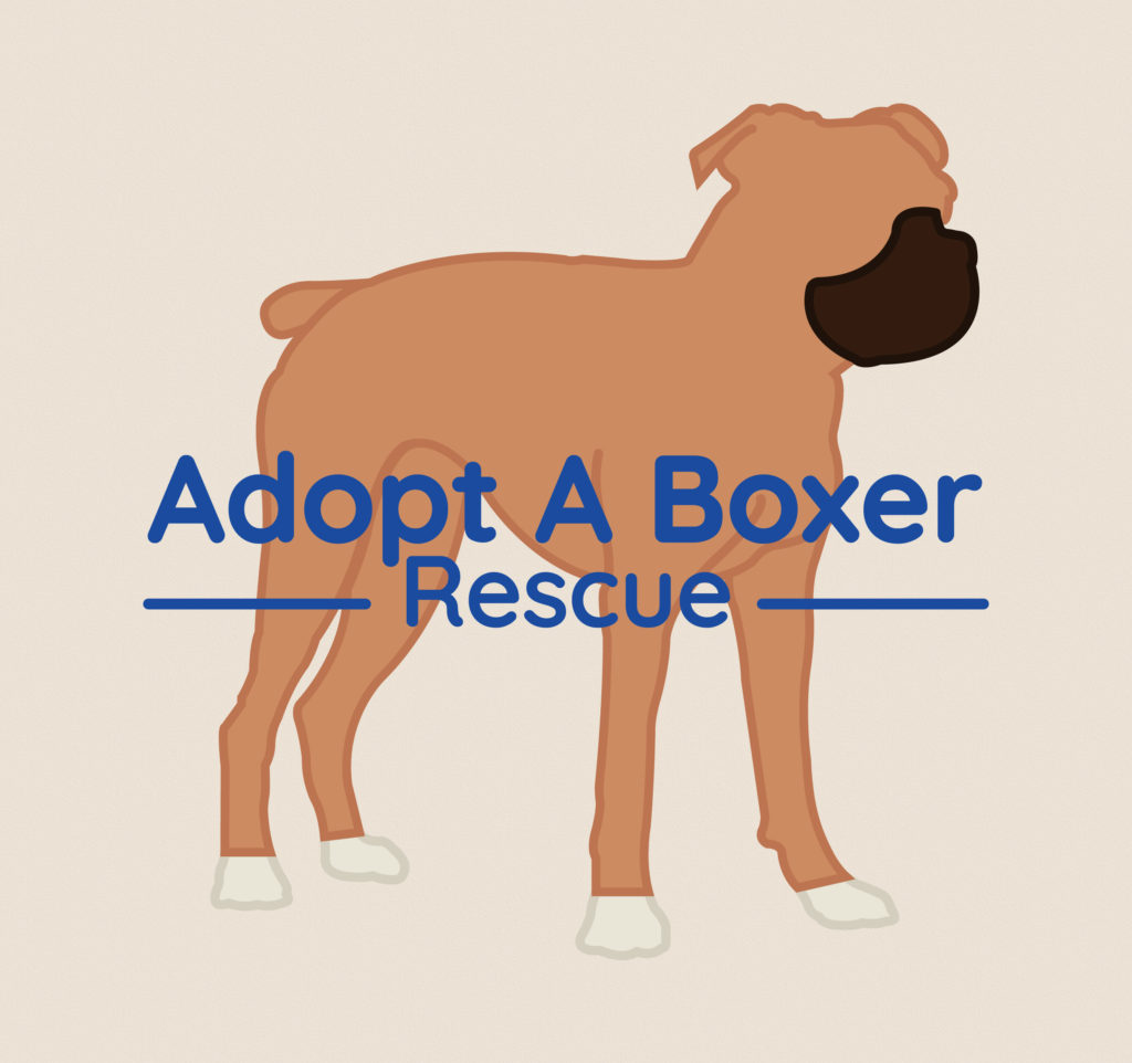 Adopt A Boxer Rescue Gets a New Logo | Marketing & Advertising Agency